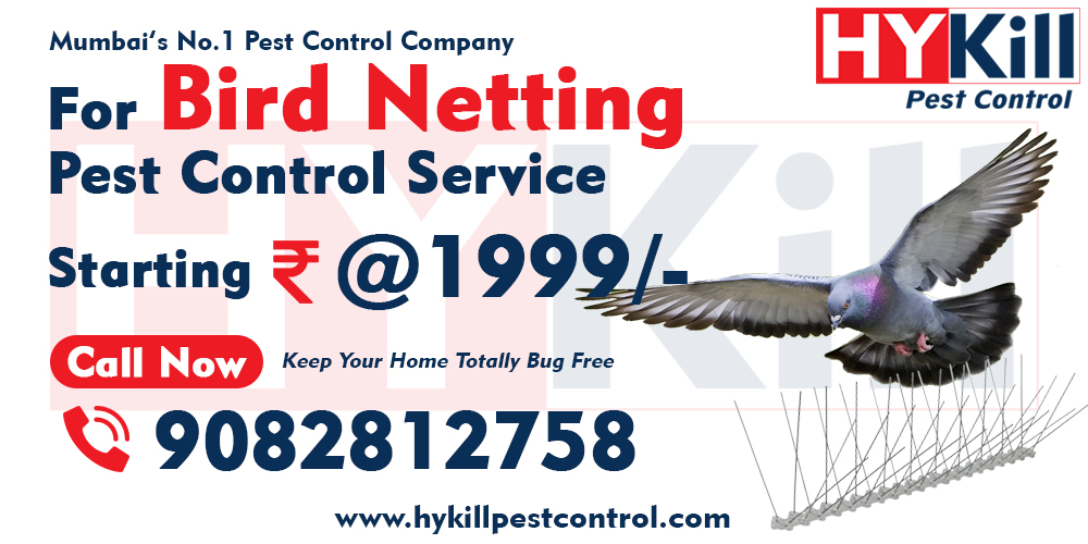 Pest Control In Ahmedabad - APC Pest Control Ahmedabad