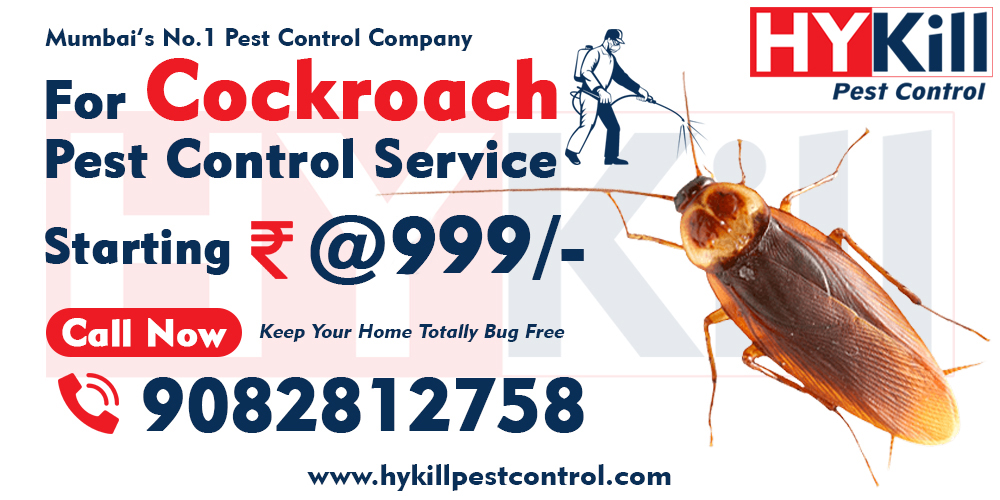 Cockroach Pest Control Mumbai | Hykill Pest Control