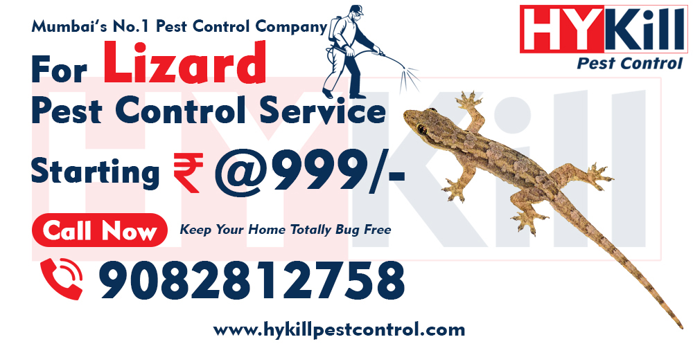 Lizard Pest Control Mumbai | Hykill Pest Control
